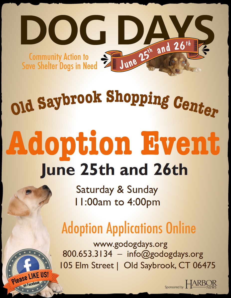 Dog Days Adoption Events Dog Days